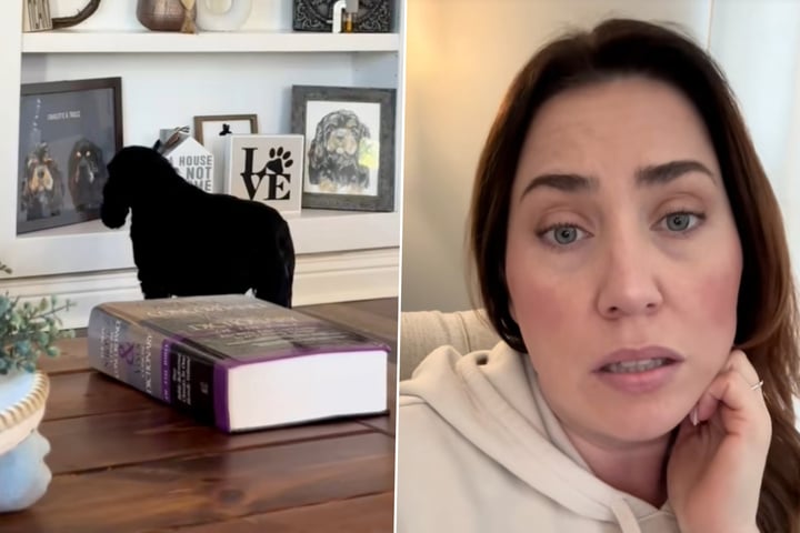 Dog emotionally mourns for recently dead sibling in bittersweet viral clip