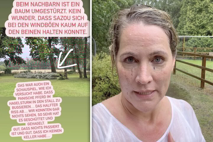 Heftiges Unwetter erwischt Hof von Judith Rakers: "Weltuntergangs-Stimmung"