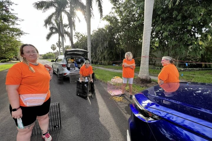 Rabbits take over Florida community in an adorable invasion