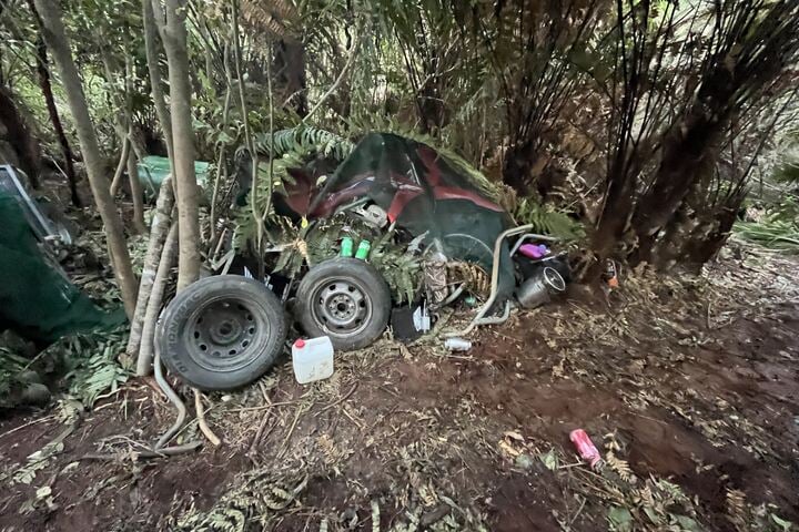 Dramatische Kindesentführung in Neuseeland endet tödlich für den Entführer