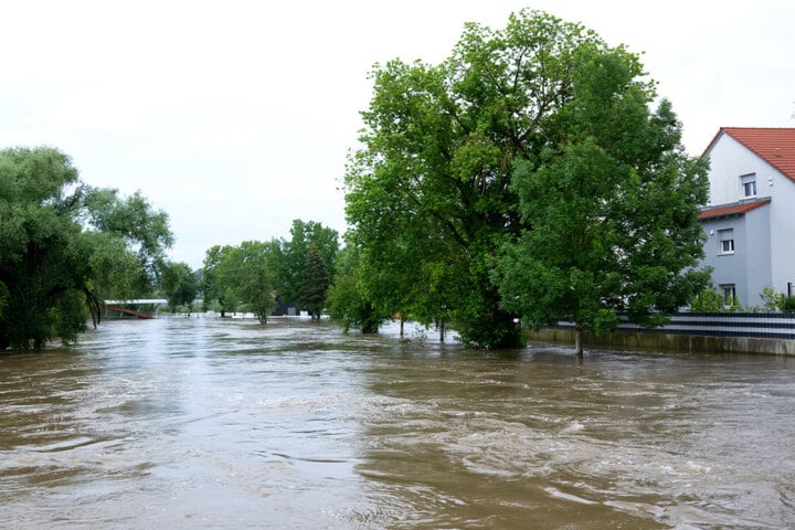 52 Stunden lang zwei Meter über dem Hochwasser: Polizei entdeckt vermisste Frau in Baumkrone