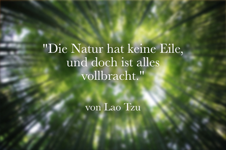 Innere Ruhe und Gelassenheit Sprüche: Die besten Zitate für mehr ...