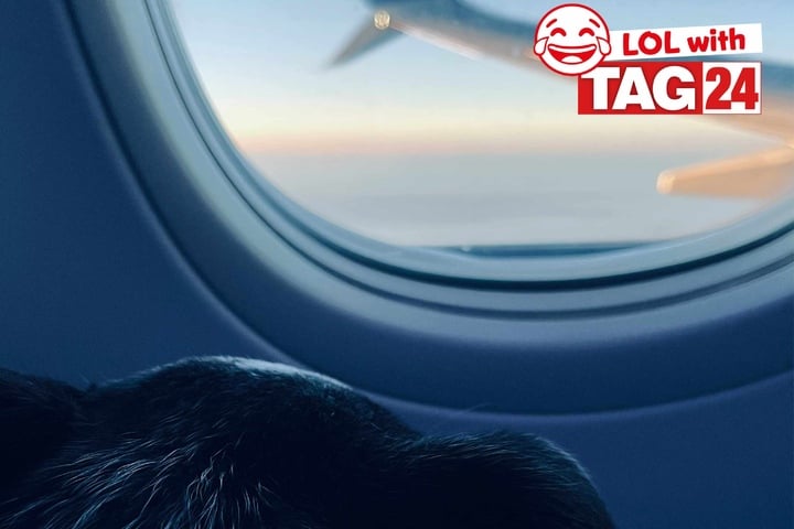 Joke of the Day for July 20, 2024: The best jokes to get your funny on ...