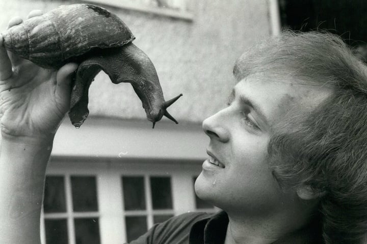 What is the biggest snail in the world?