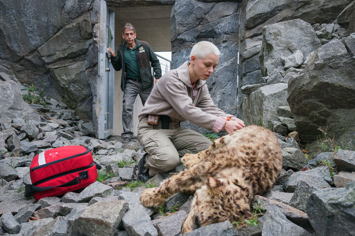 "Tierärztin Dr. Mertens": Dr. Berger lässt die Bombe platzen