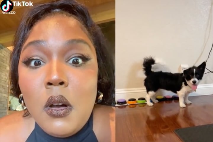 Lizzo thrills fans with doggy duet on TikTok: "I love you b****"