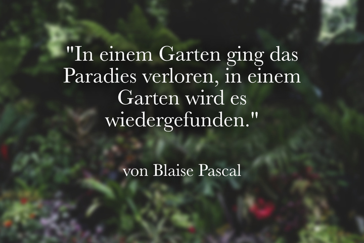 Sprüche für den Garten: Schöne und lustige Gartenzitate