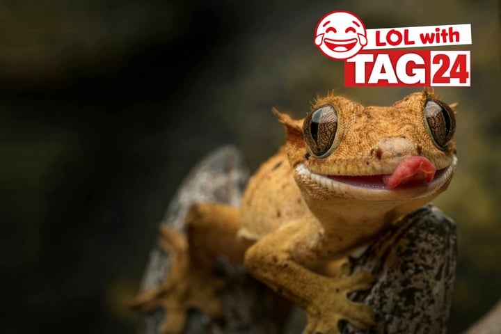 Joke of the Day for June 24, 2024: Get your funny on