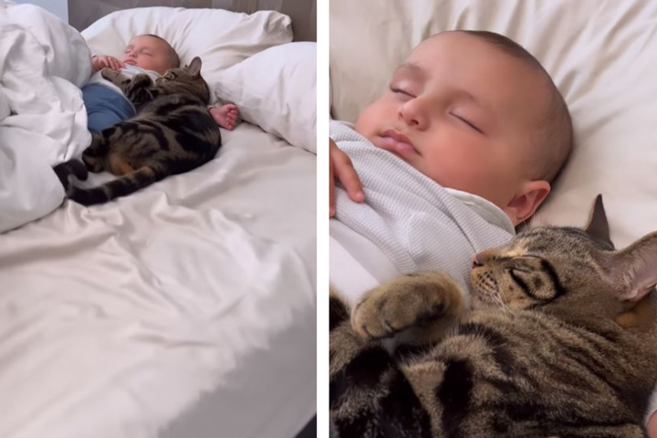 Katze kuschelt sich an Baby: Doch kurz darauf hat das Tier ein Problem