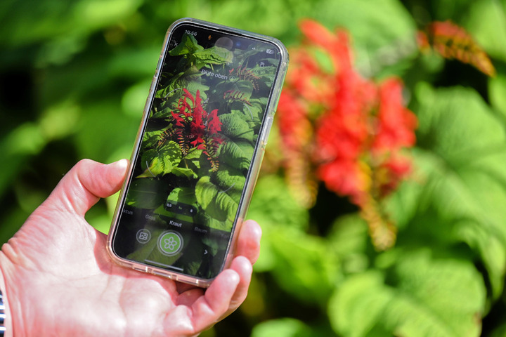 Mit "Flora Incognita"-App: Leipziger wollen Deutschlands 17 Millionen ...