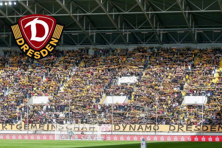 Dynamo Dresden News Spieler, Verein, Transfermarkt und Spielplan | TAG24