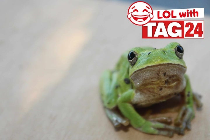 Joke of the Day for July 20, 2025: A funny joke for Sunday Funday