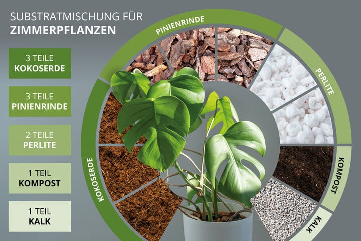Torffreie Erde Für Zimmerpflanzen