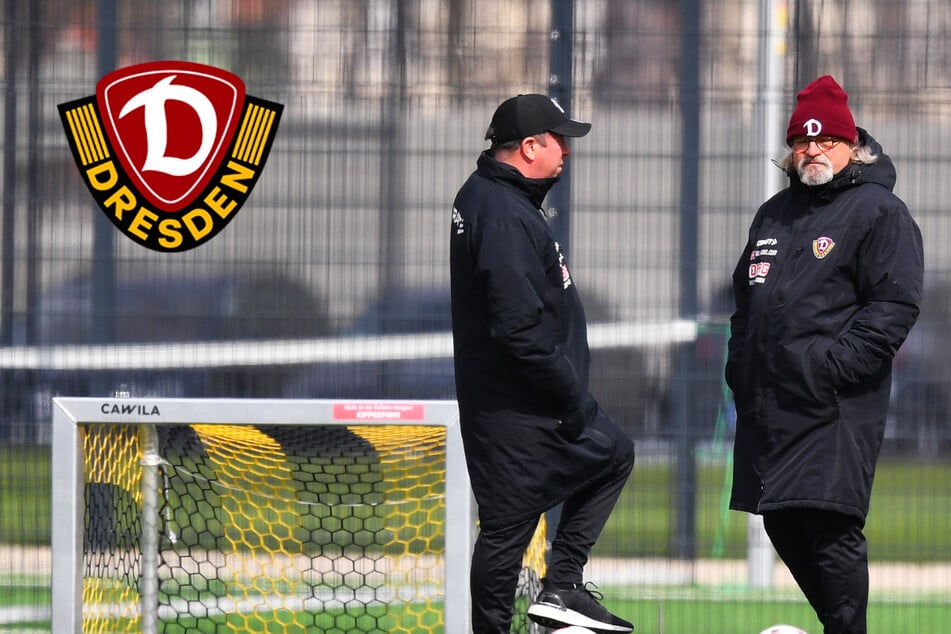 Lokale und regionale Nachrichten aus Dresden | TAG24