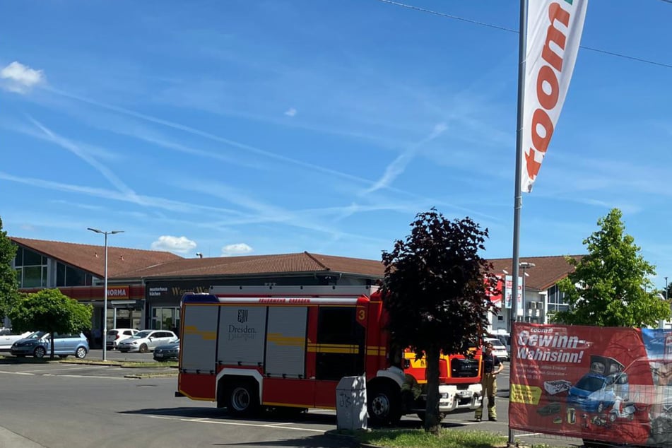 Tierrettungseinsatz in Dresden-Laubegast: Hündin aus Rohr gerettet