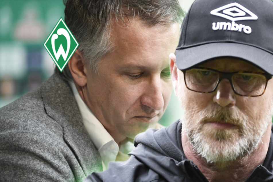 Werder Bremen: News, Transfergerüchte, Spielplan, Live-Ticker | TAG24
